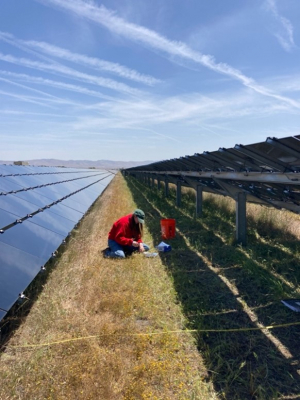 Characterizing the Ecological Implications of Utility-Scale Solar ...