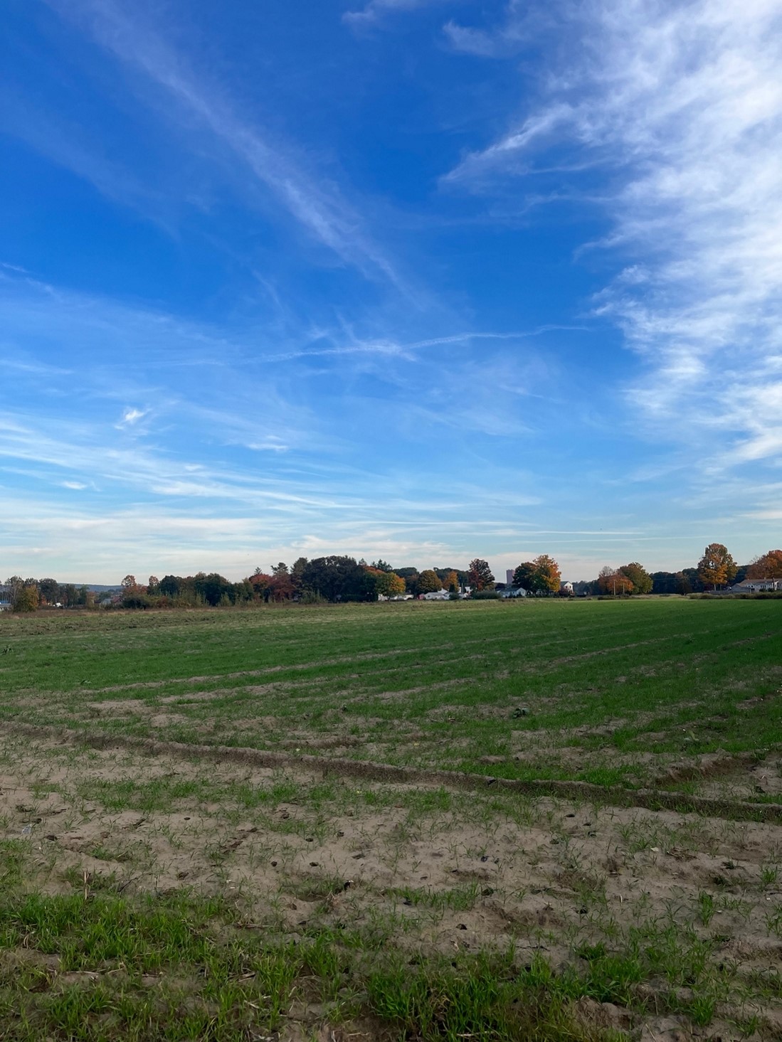 Case Study: Joe Czajkowski Farm – AgriSolar Clearinghouse