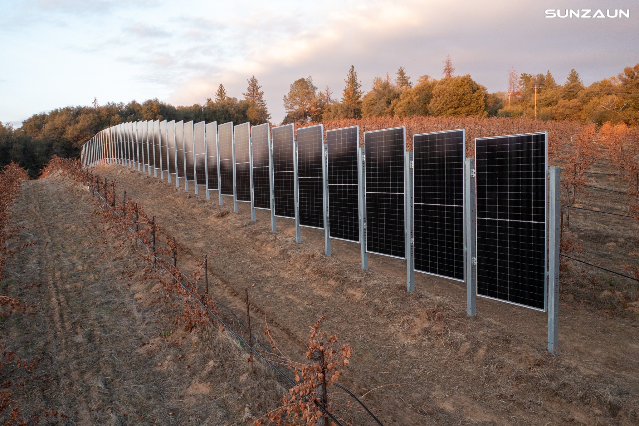Case Study: Sunzaun Vertical Solar System – AgriSolar Clearinghouse