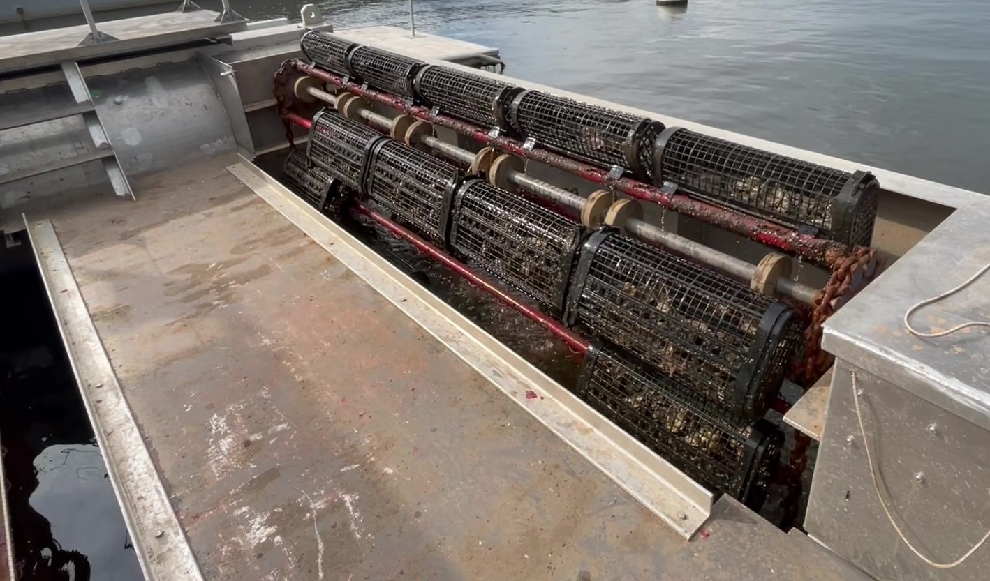 Case Study: Solar Oysters LLC – AgriSolar Clearinghouse