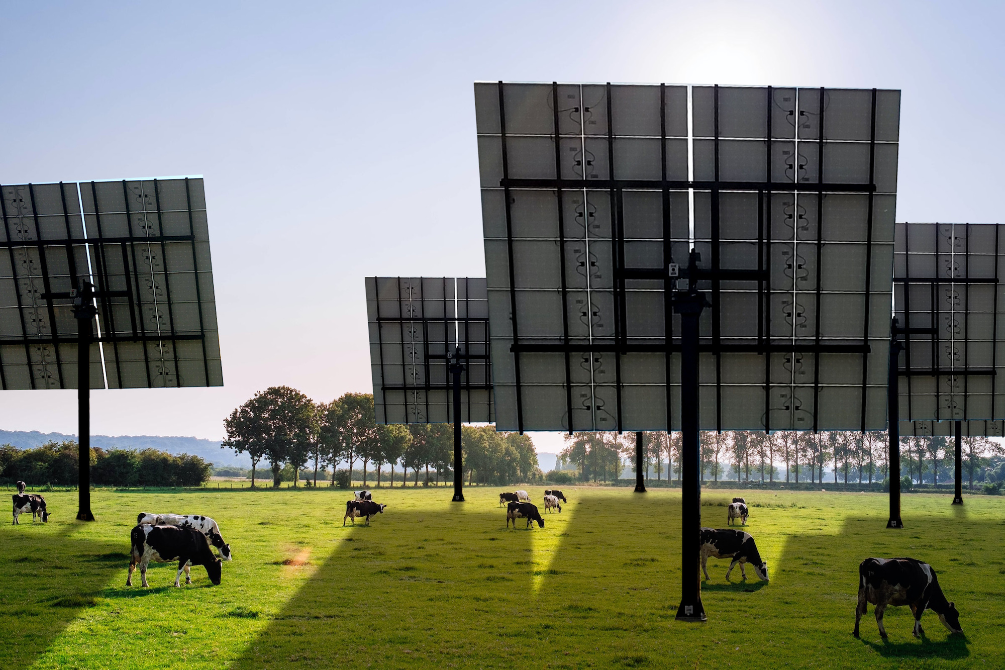 Elevated Solar Trackers Offer a Compatible and High-efficiency ...
