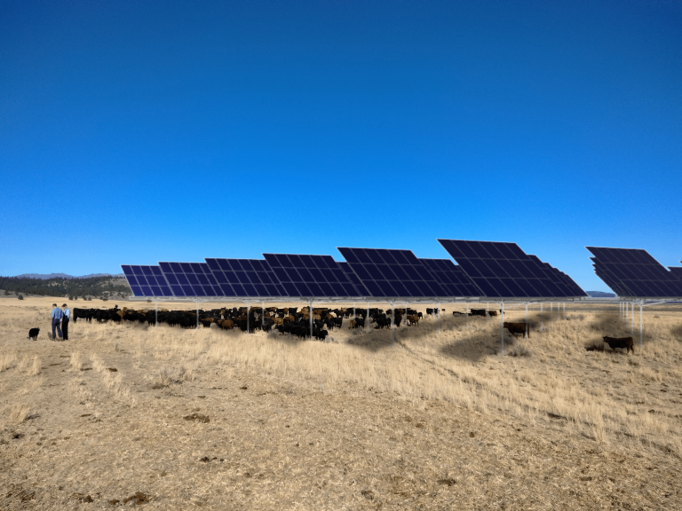 RUTE SunTracker Demonstrates Cattle-grade Agrivoltaics in Oregon ...