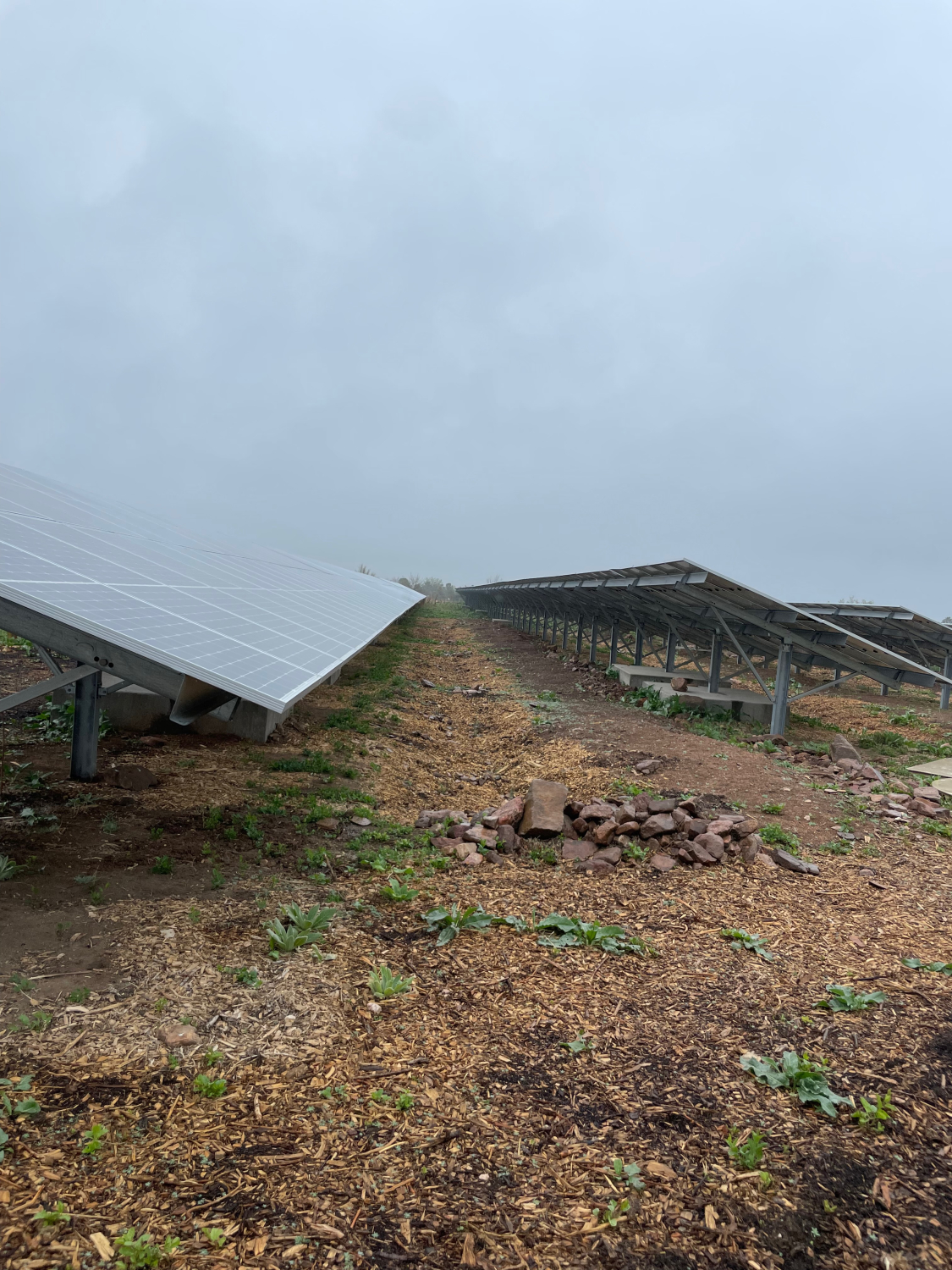 Case Study: Boulder Housing Partners Triangle Solar Array – AgriSolar ...