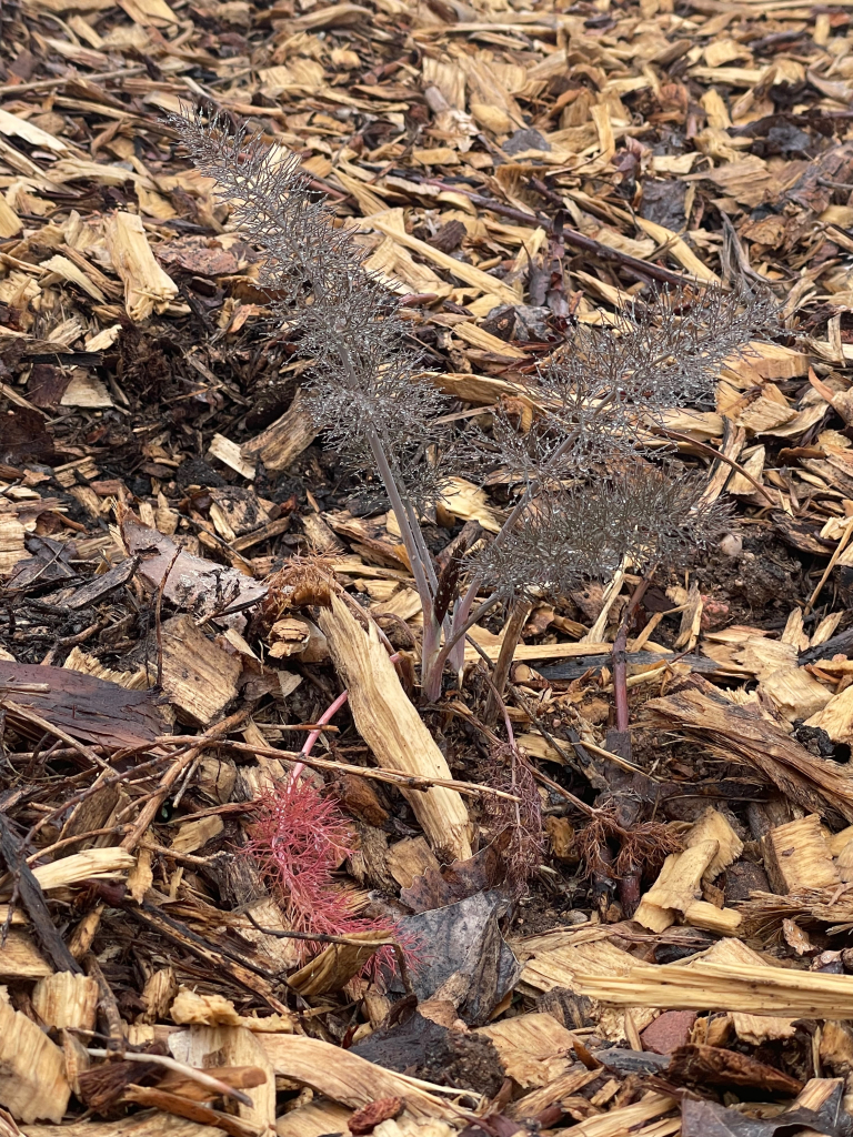 Case Study: Boulder Housing Partners Triangle Solar Array – AgriSolar ...