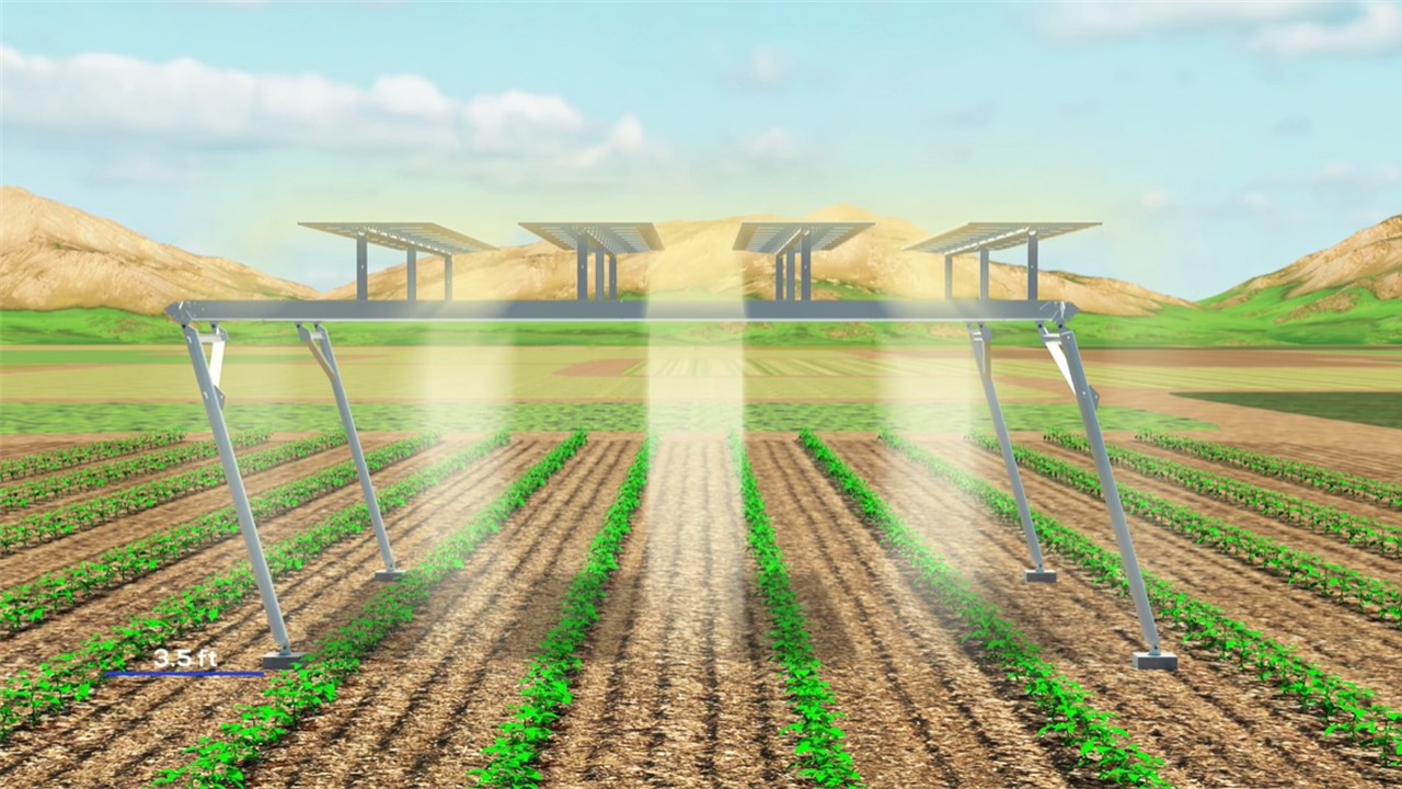 Case Study: University of Delaware Agrisolar Research – AgriSolar ...