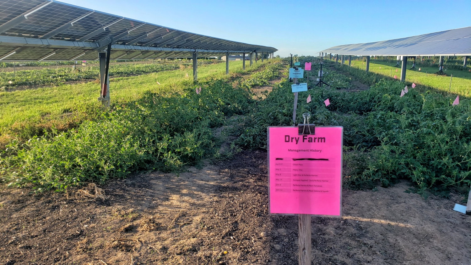 Harvest the Sun — Twice – AgriSolar Clearinghouse