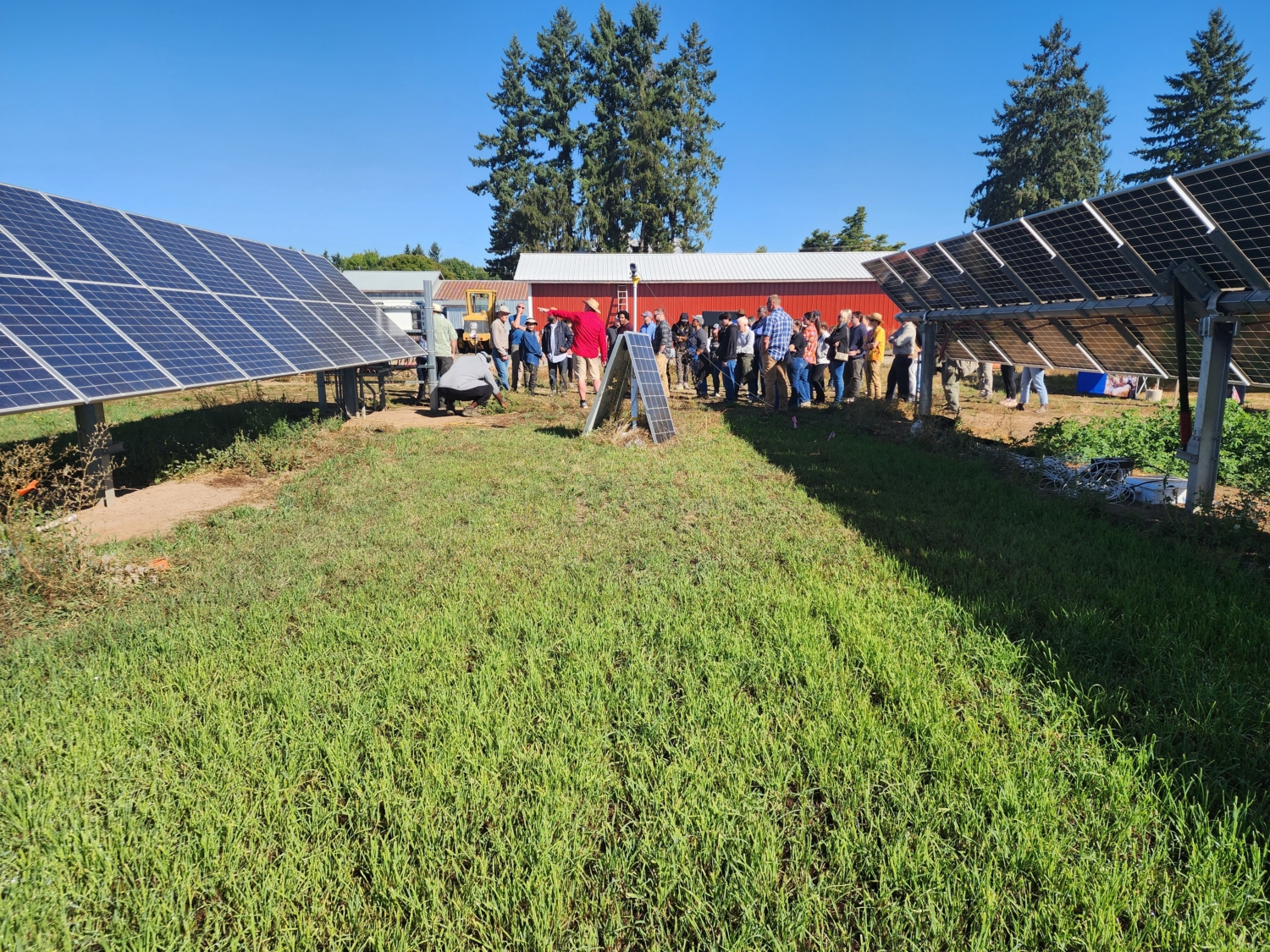 Case Study: Oregon Agrivoltaic Research Facility – AgriSolar Clearinghouse