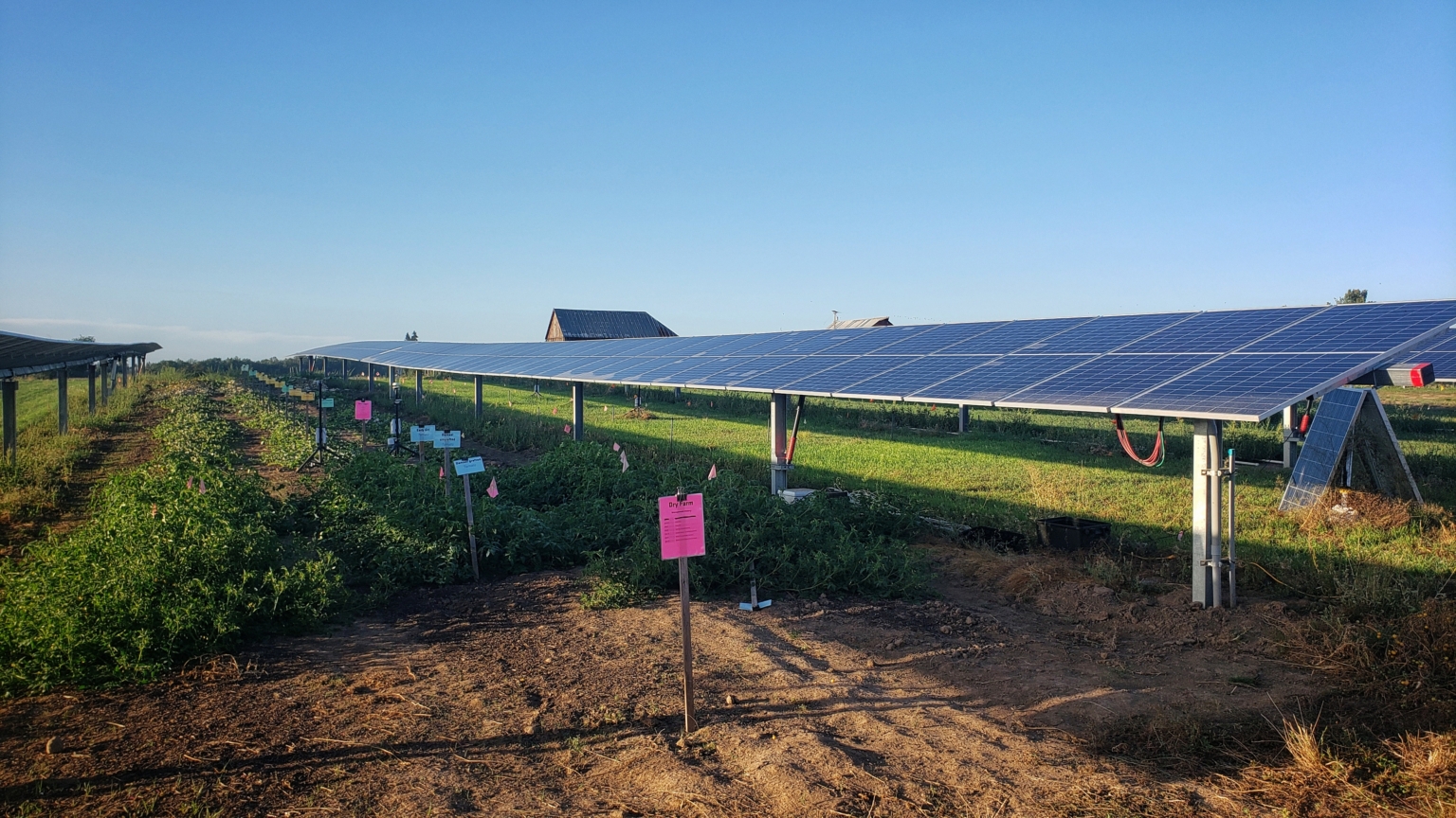Case Study: Oregon Agrivoltaic Research Facility – AgriSolar Clearinghouse